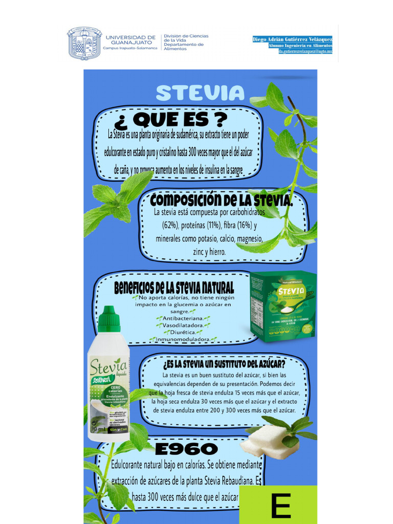 Infografias Stevia | PDF