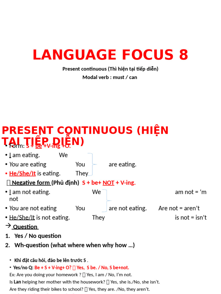 Language Focus 8 | PDF