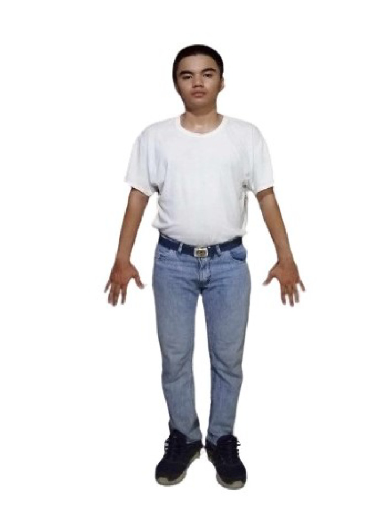 Amiel Pdf