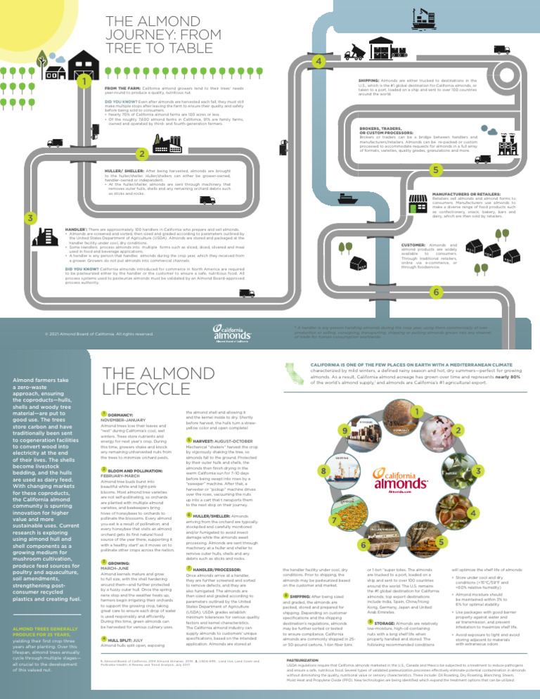 Almond Lifecycle Infographic - Web | PDF | Almond | Pollination