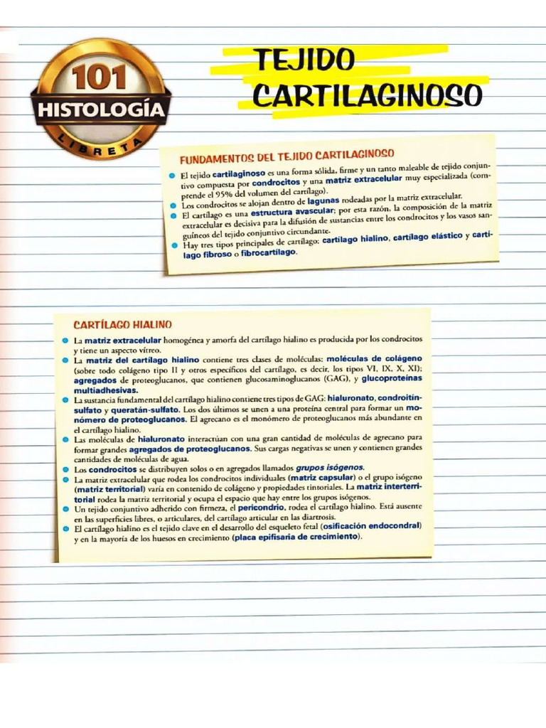 Tej. Cartilaginoso | PDF