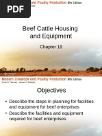 Guidelines for Cattle Feedlot Design | PDF | Cattle | Drainage Basin