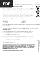 Dna Fingerprinting Worksheet | PDF | Gel Electrophoresis | Dna Profiling