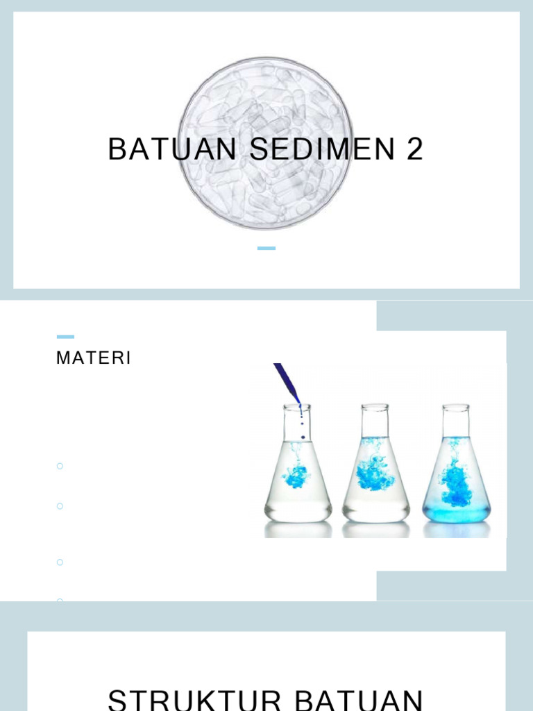 Struktur dan Fasies Batuan Sedimen | PDF