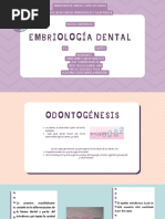 Nomenclatura Dentaria - El Código Internacional (FDI) | PDF | Diente ...