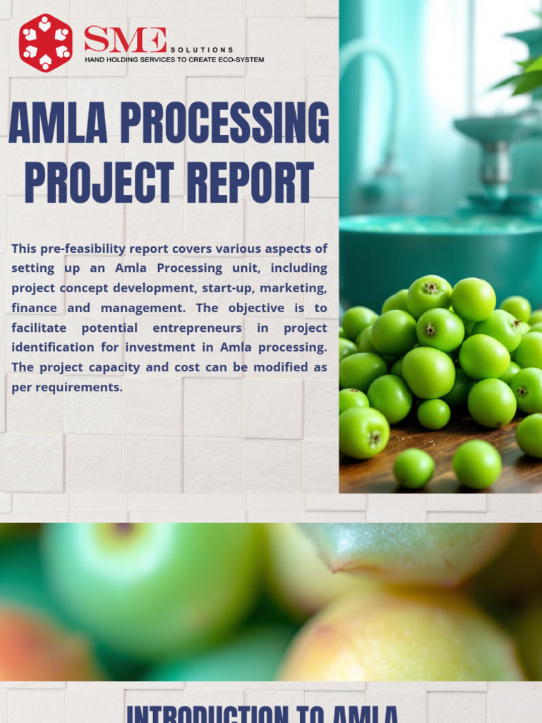 Amla Processing Project Report | PDF | Vitamin C | Vitamin