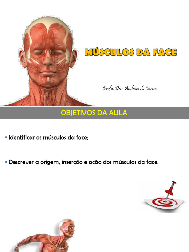 Músculos da Face: Origem e Ação | PDF | Rosto | Cabeça e pescoço humano