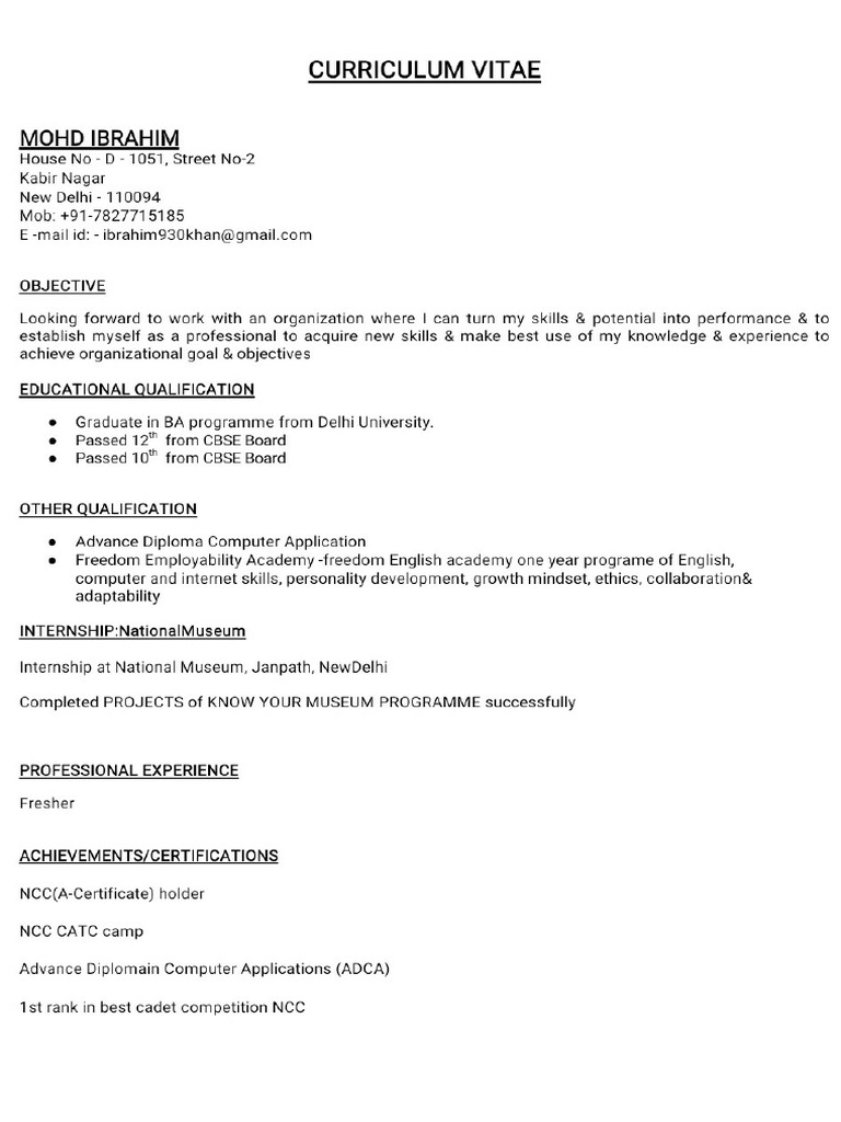 Ibrahim CV | PDF