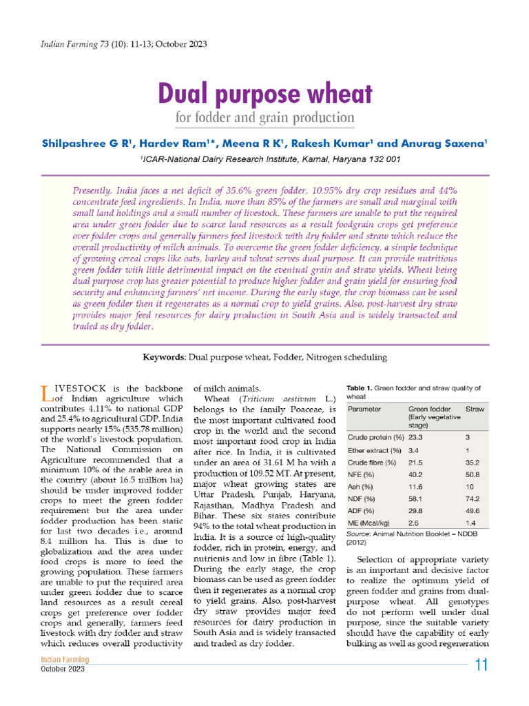 Dual Purpose Wheat For Fodder and Grain Production | PDF