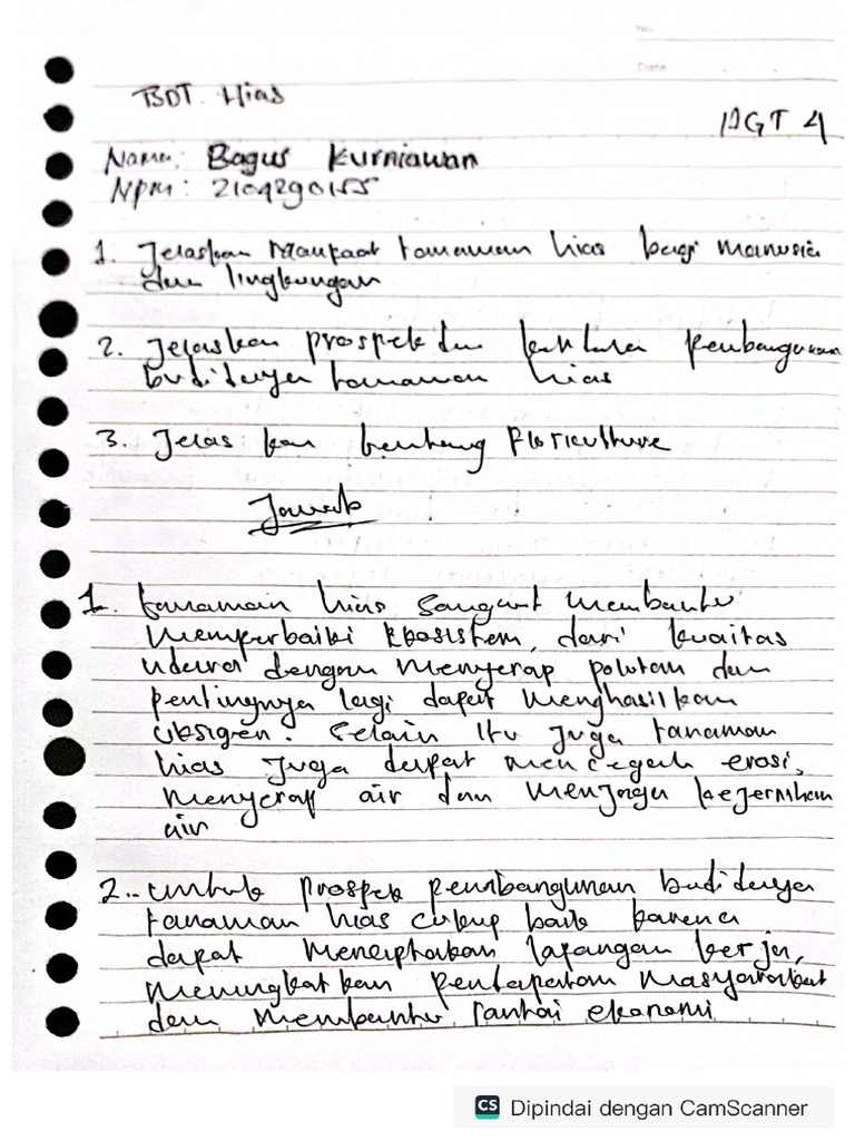 Tugas Bagus BDT Hias | PDF