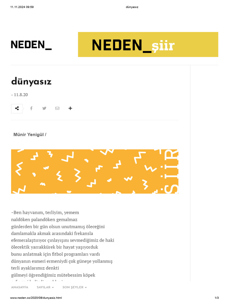 Dünyasız-Neden Co | PDF