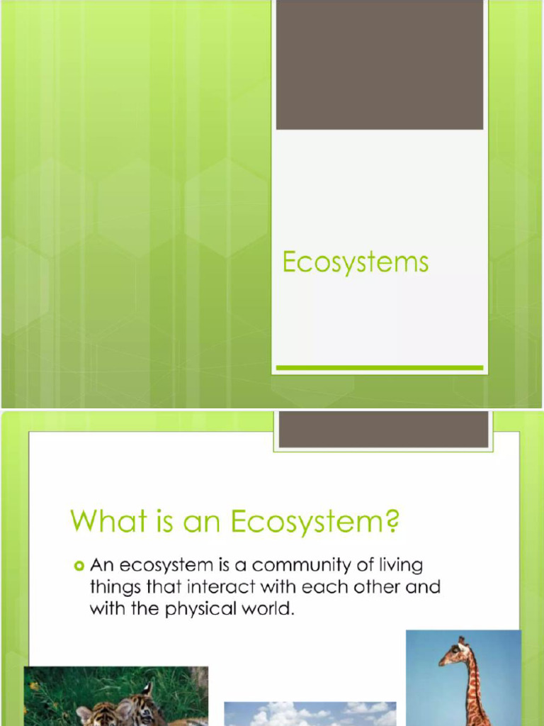 Ecosystems New | PDF