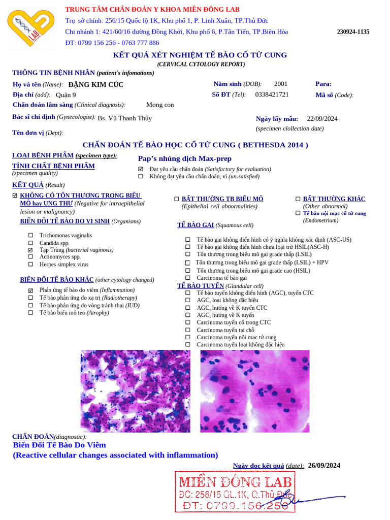Dang Kim Cuc 2001 | PDF