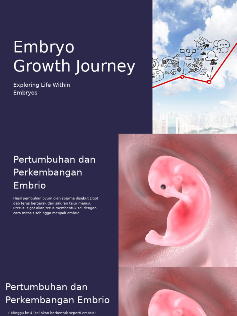 Pertumbuhan Dan Perkembangan Embrio | PDF