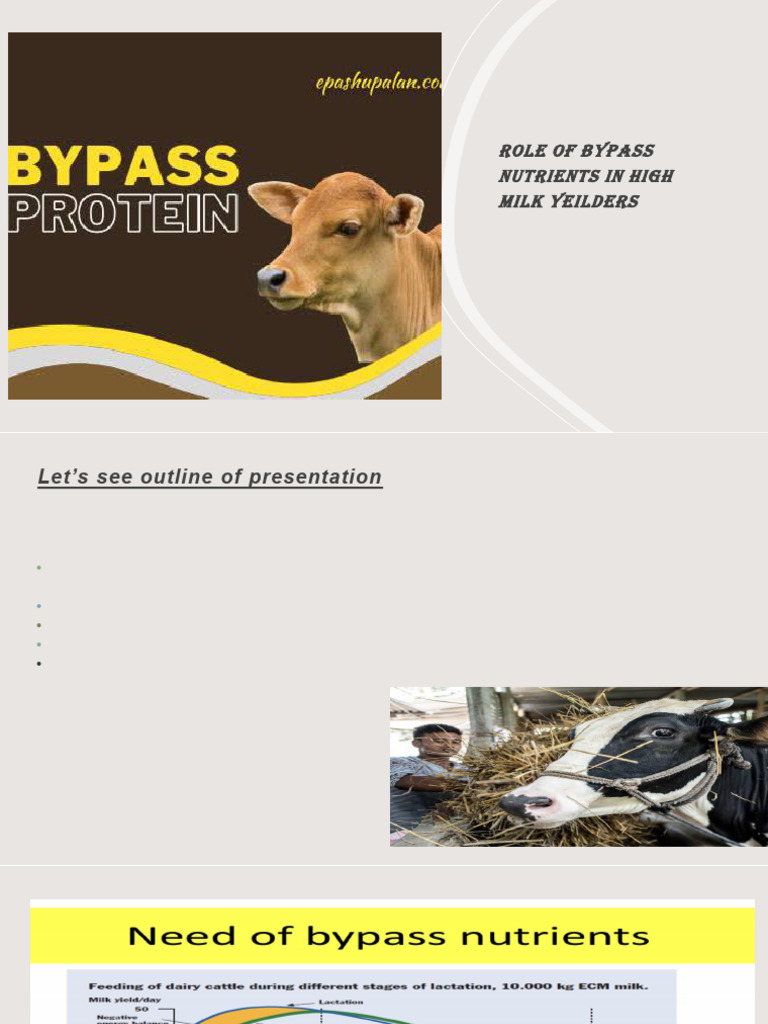 1688105224.23.role of Bypass Nutrients in High Milk Yeilders | PDF ...