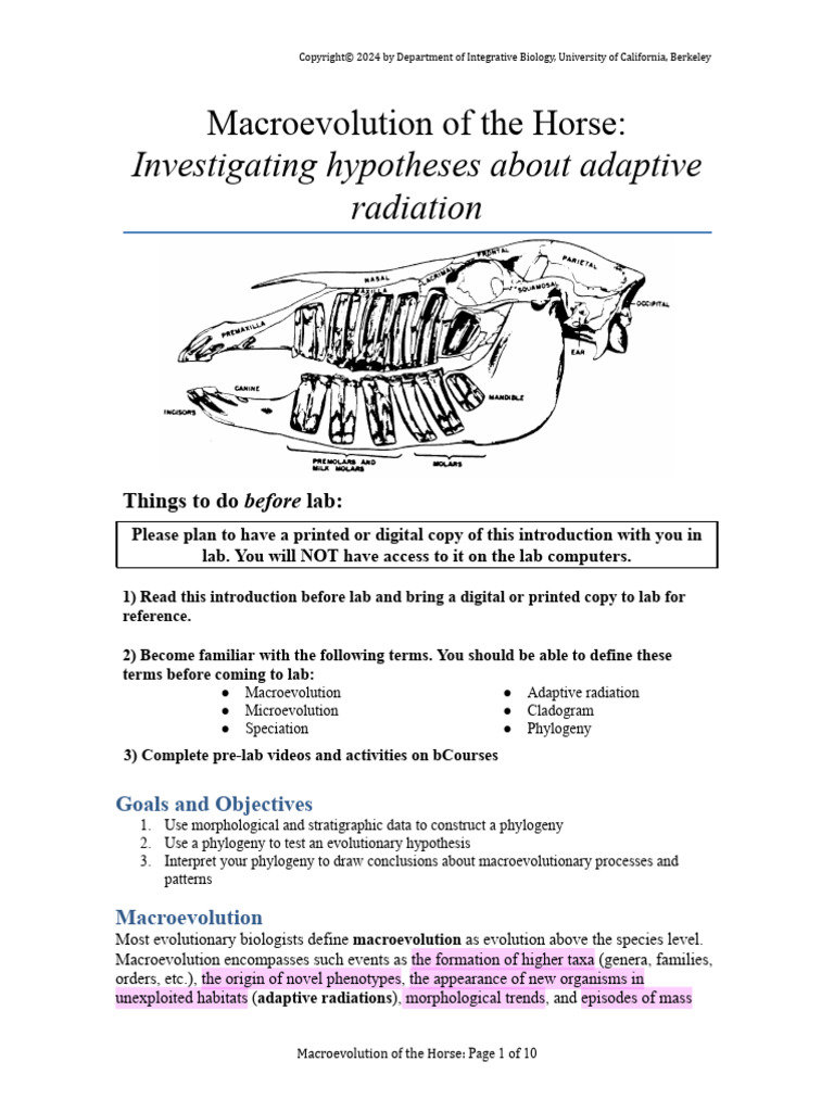 L3 Macroevolution Introduction Fa24 | PDF | Evolution | Tooth