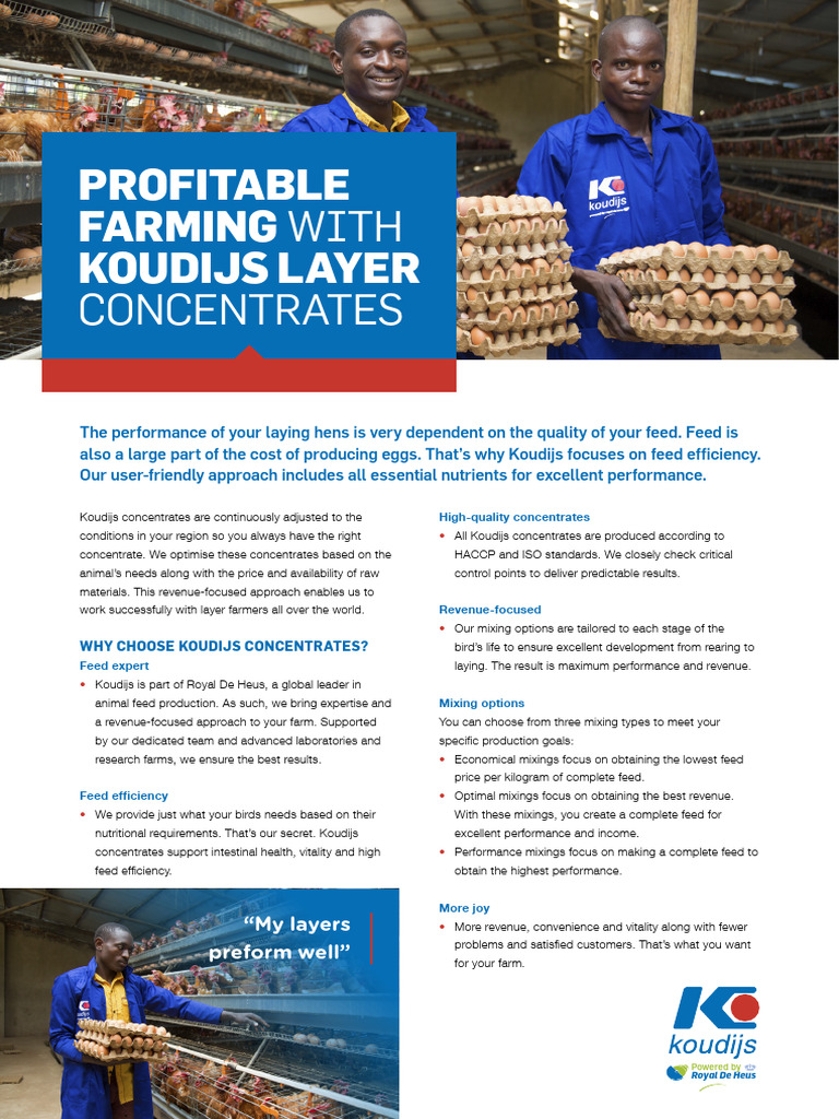 Koudijs Layer Concentrate Benefits | PDF