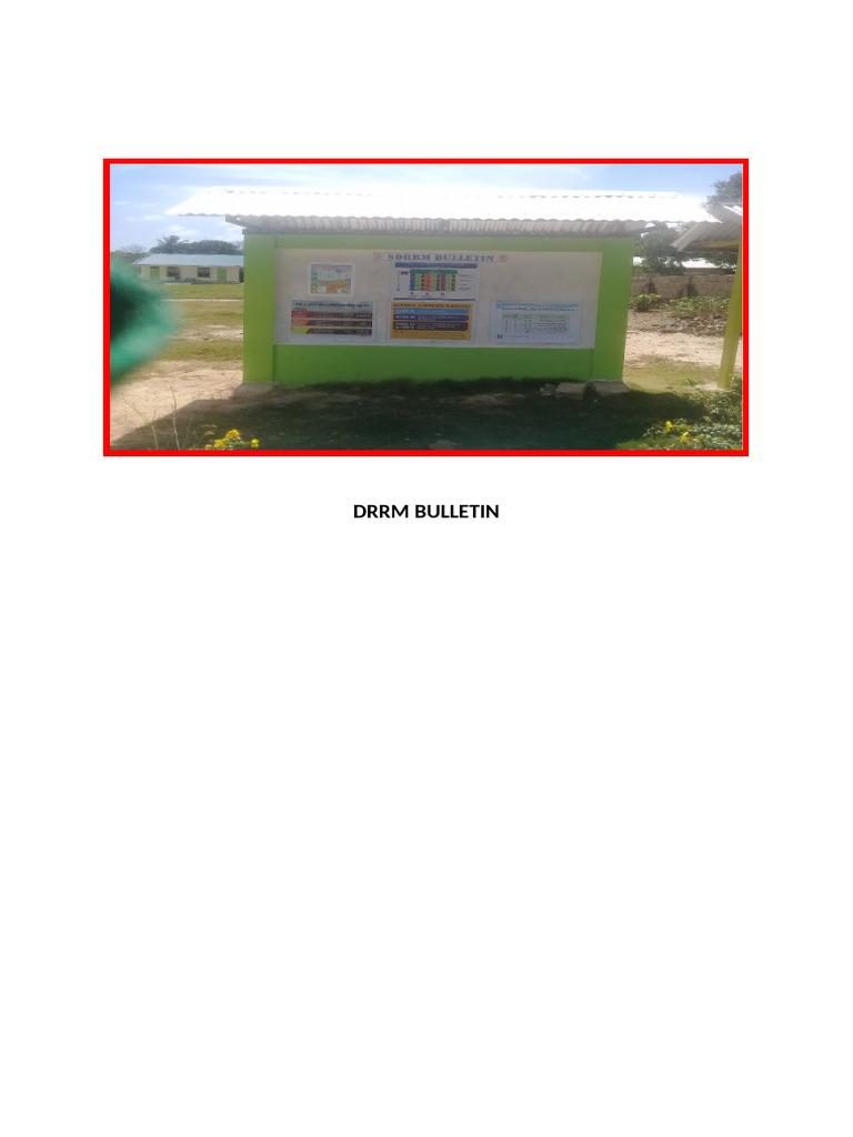 DRRM Bulletin | PDF