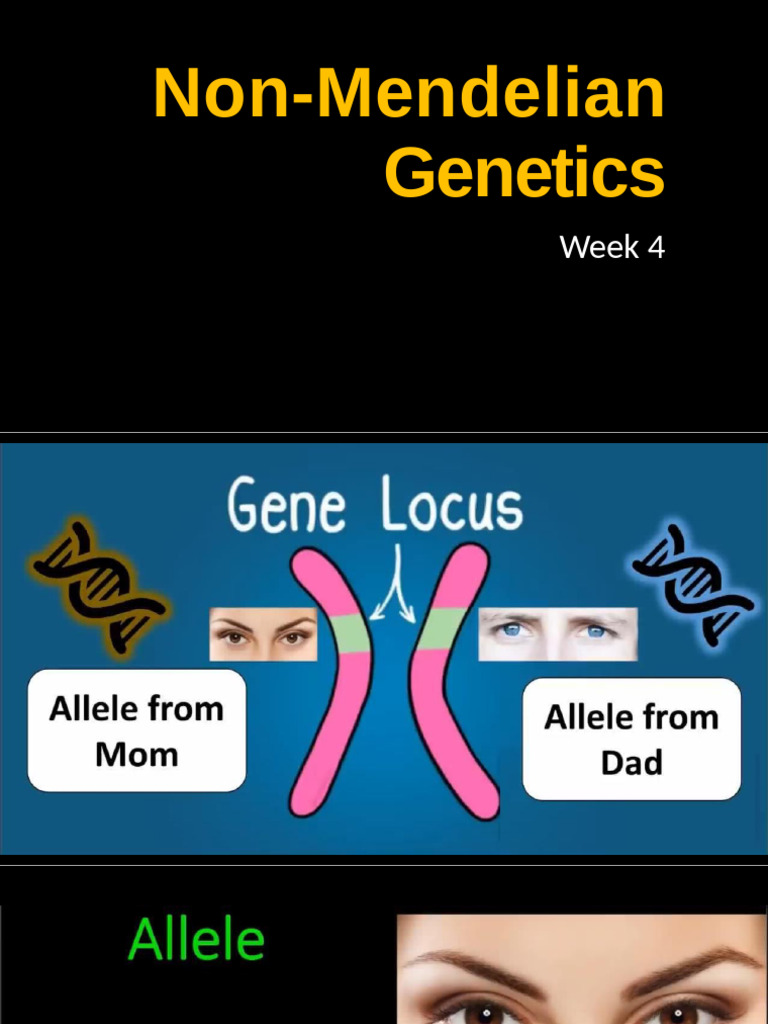 Q1 - W2 - Nonmendelian Genetics | PDF | Science & Mathematics