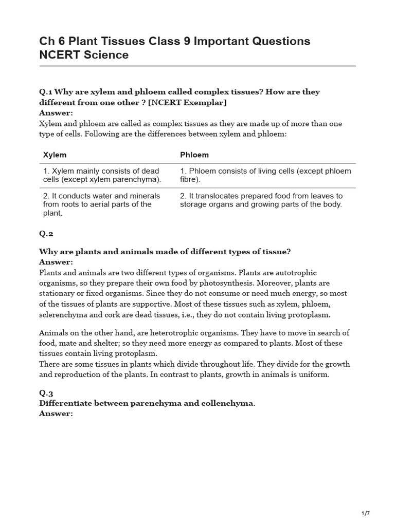 Important Question Cbse Class 9 Science Chapter 6 Plant Tissues | PDF ...