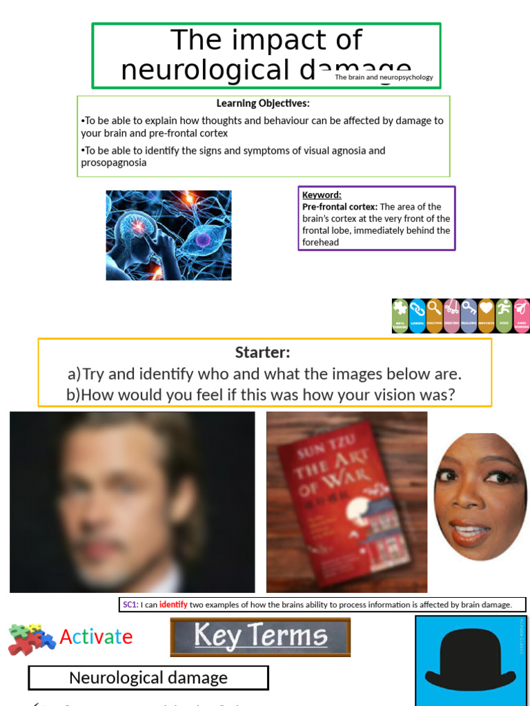 5 Impact of Neurological Damage | PDF | Cognition | Mental Processes
