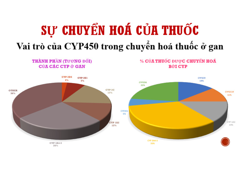 B1 - DĐH LS - Chart - SL 91 | PDF