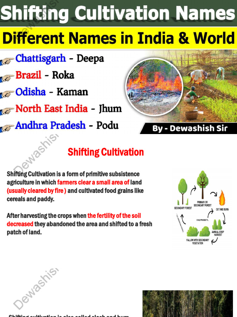 Shifting Cultivation | PDF | Agriculture | Food Industry