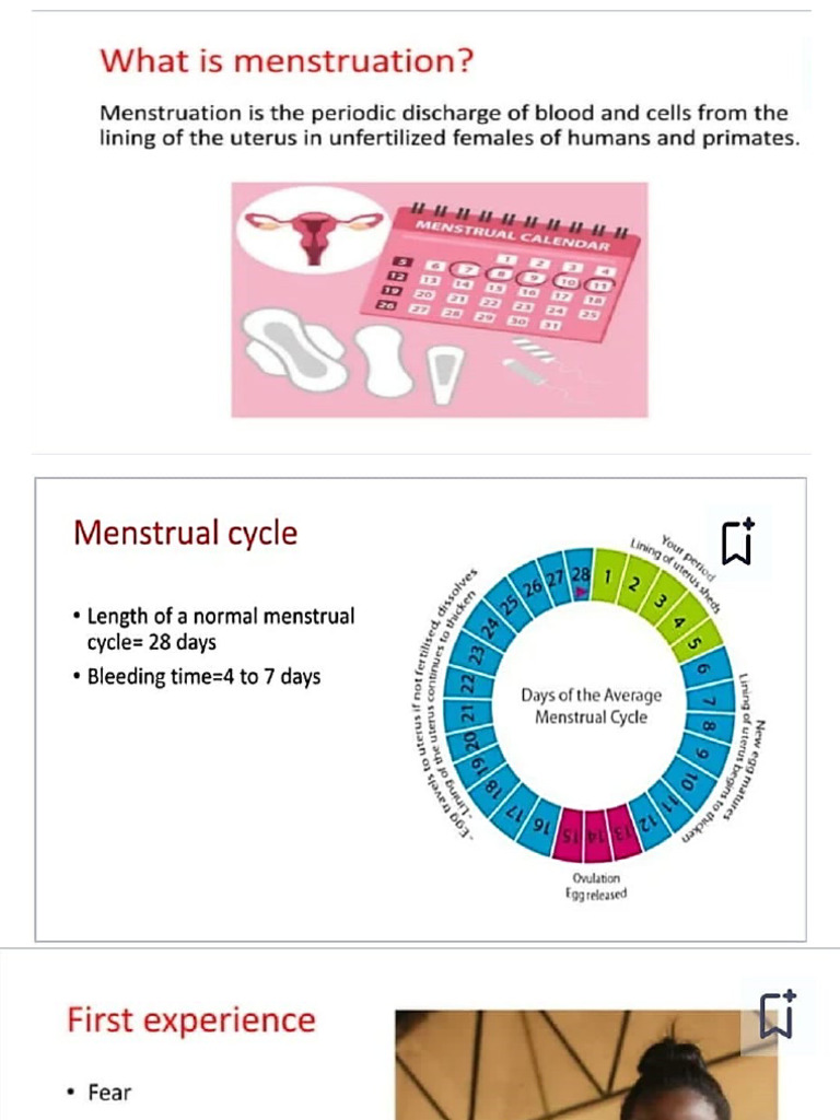 Menstrual Hygiene | PDF
