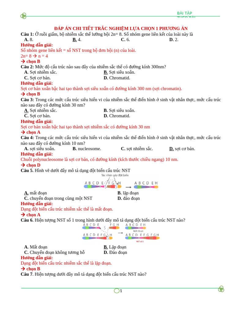 Câu 1: A. B. C. D.: ĐáP ÁN Chi TiếT TrắC NghiệM LựA ChọN 1 Phương ÁN | PDF