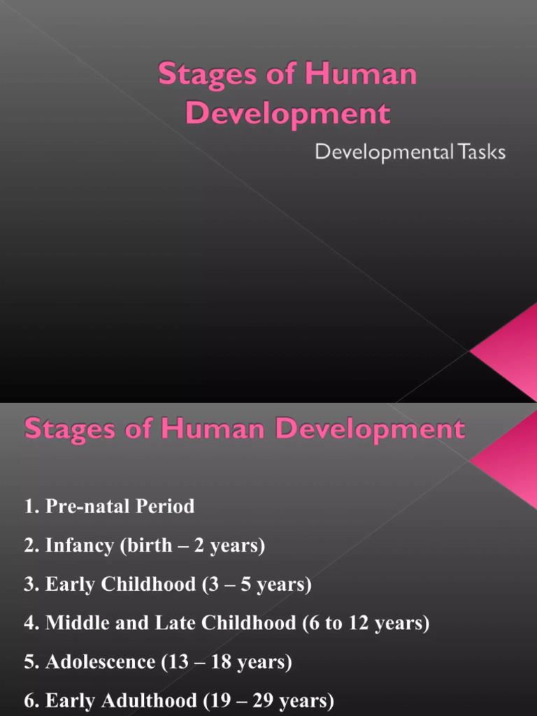 Stages of Human Development | PDF