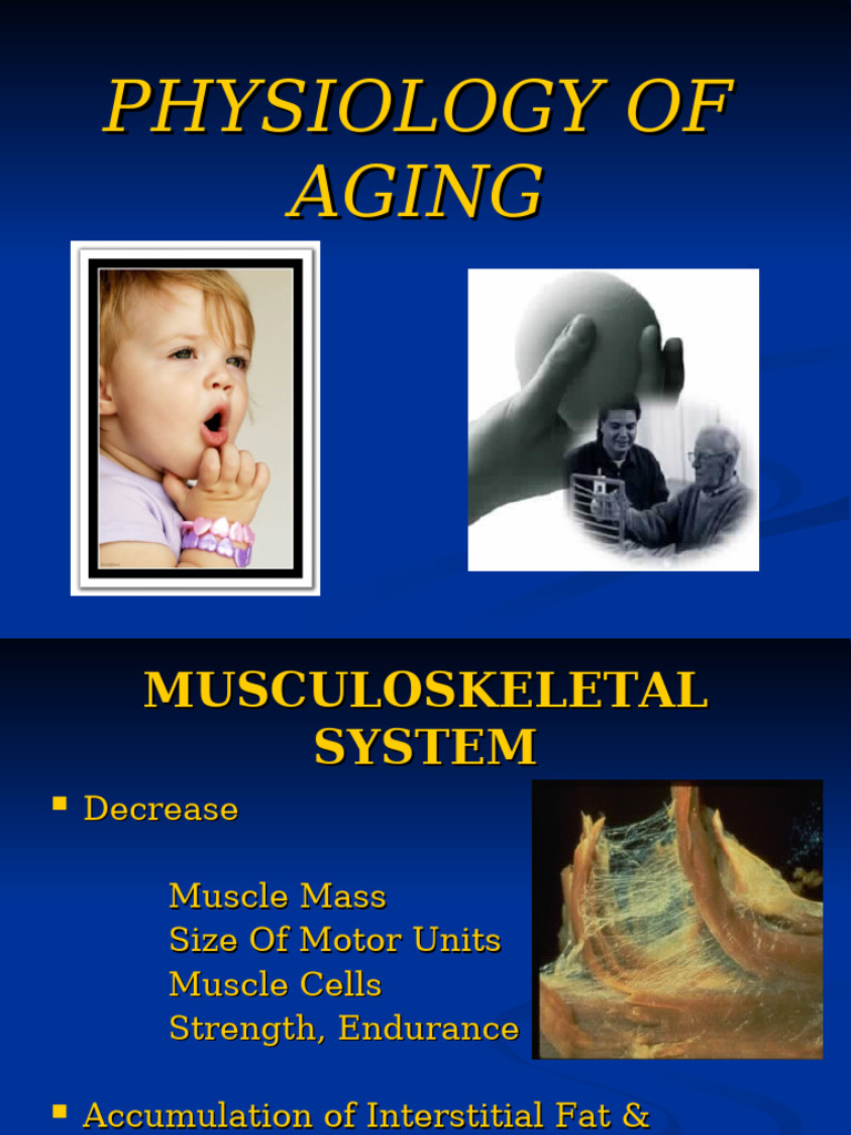 Physiology of Aging and Musculoskeletal Health | PDF | Human ...
