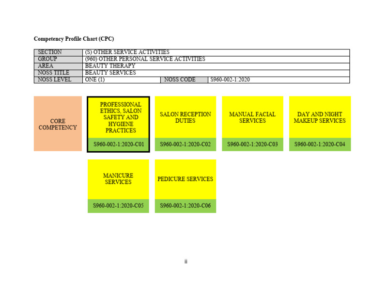 2. Competency Profile Chart-1 | PDF