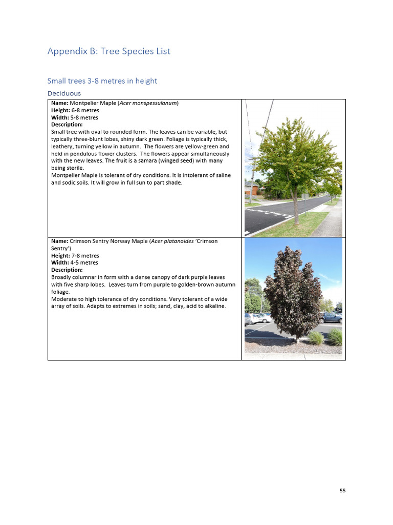 2018 - 11 - 21 Adopted Tree Species Appendix B Hindmarsh Tree Technical ...