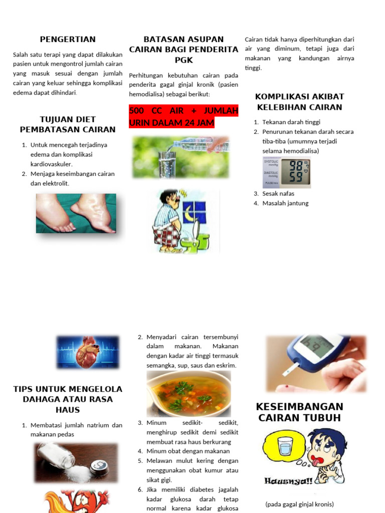 Sayur Rendah Kalium untuk Gagal Ginjal | PDF