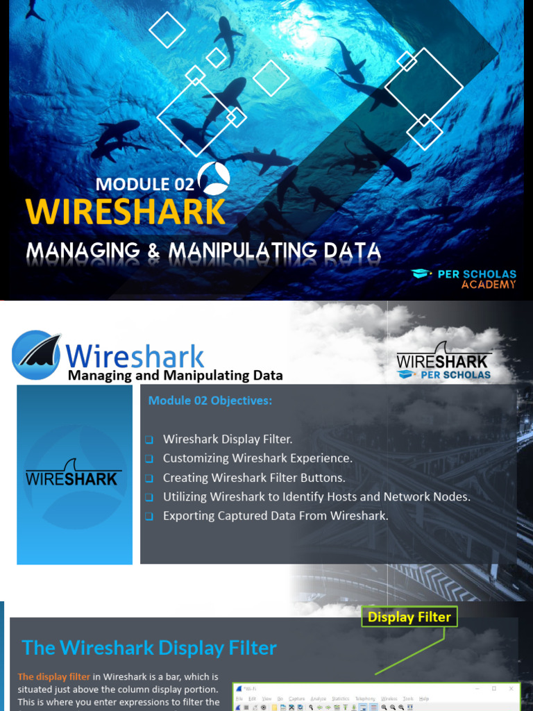 Module 162.2.L2 Using Wireshark For Network Analysis | PDF | Transport ...