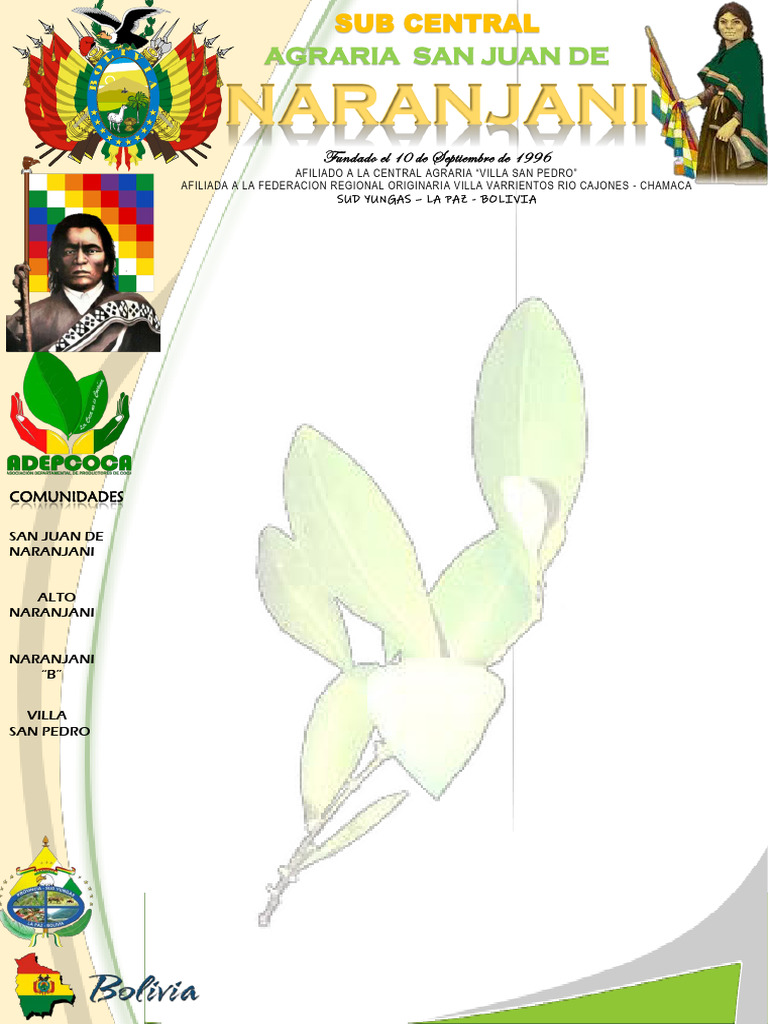 Sub Central Membrete | PDF