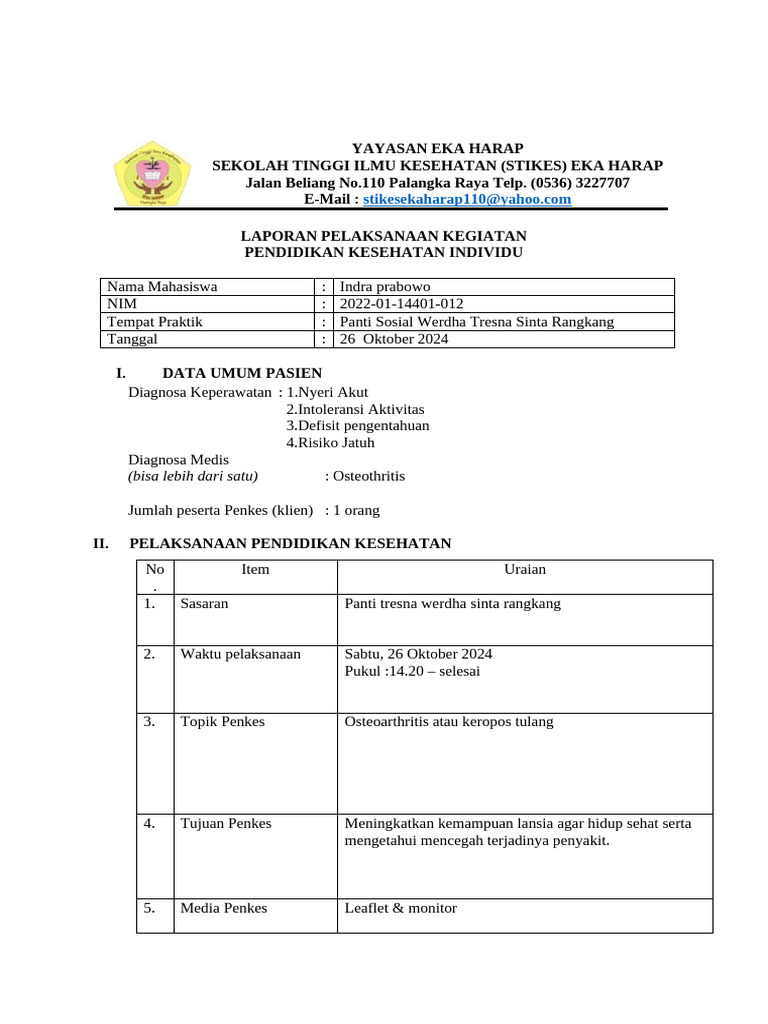 Format Penkes Individu | PDF