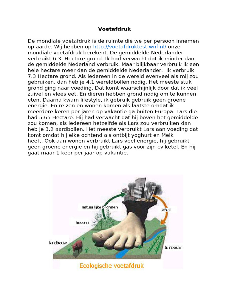 Voetafdruk | PDF