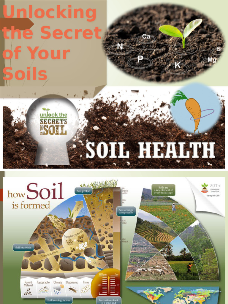 Composting Technologies 2022 | PDF | Compost | Decomposition