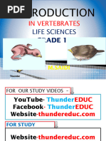 Grade 12 Life Sciences Paper 2 Terminologies-1 | PDF | Genetics | Gene