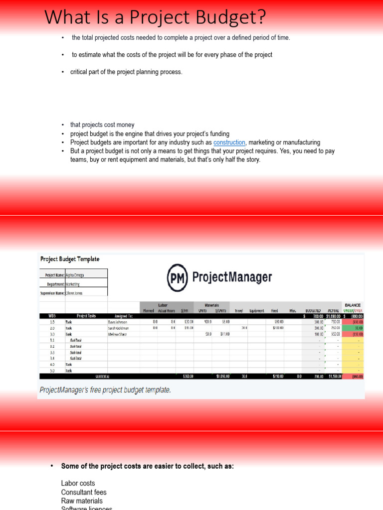 Understanding Project Budget Essentials | PDF | Business