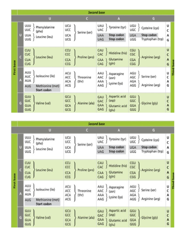 Genetic Code Table Pdf