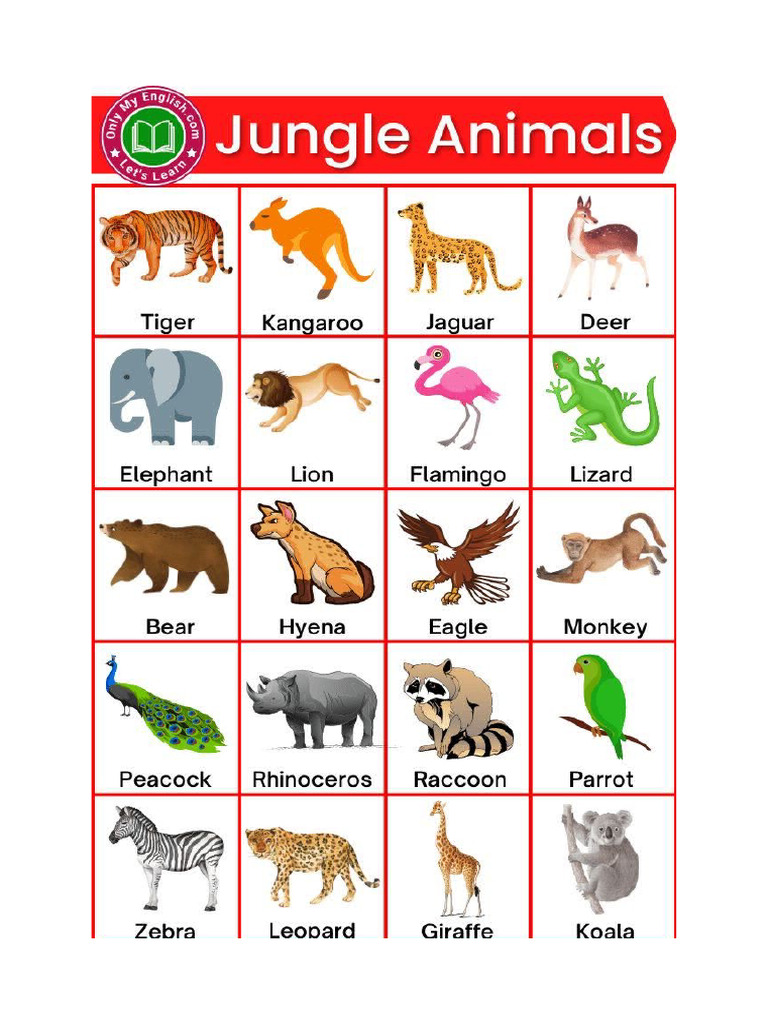 Jungle Animals | PDF