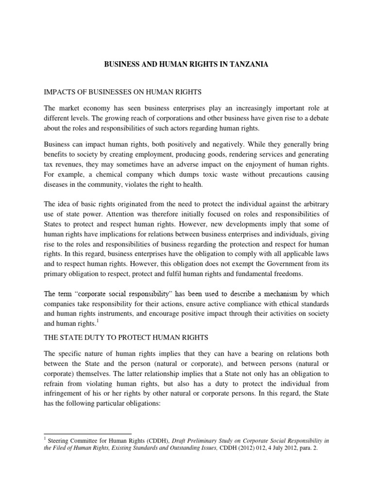 Business and Human Rights in Tanzania | PDF | Human Rights | Corporate ...