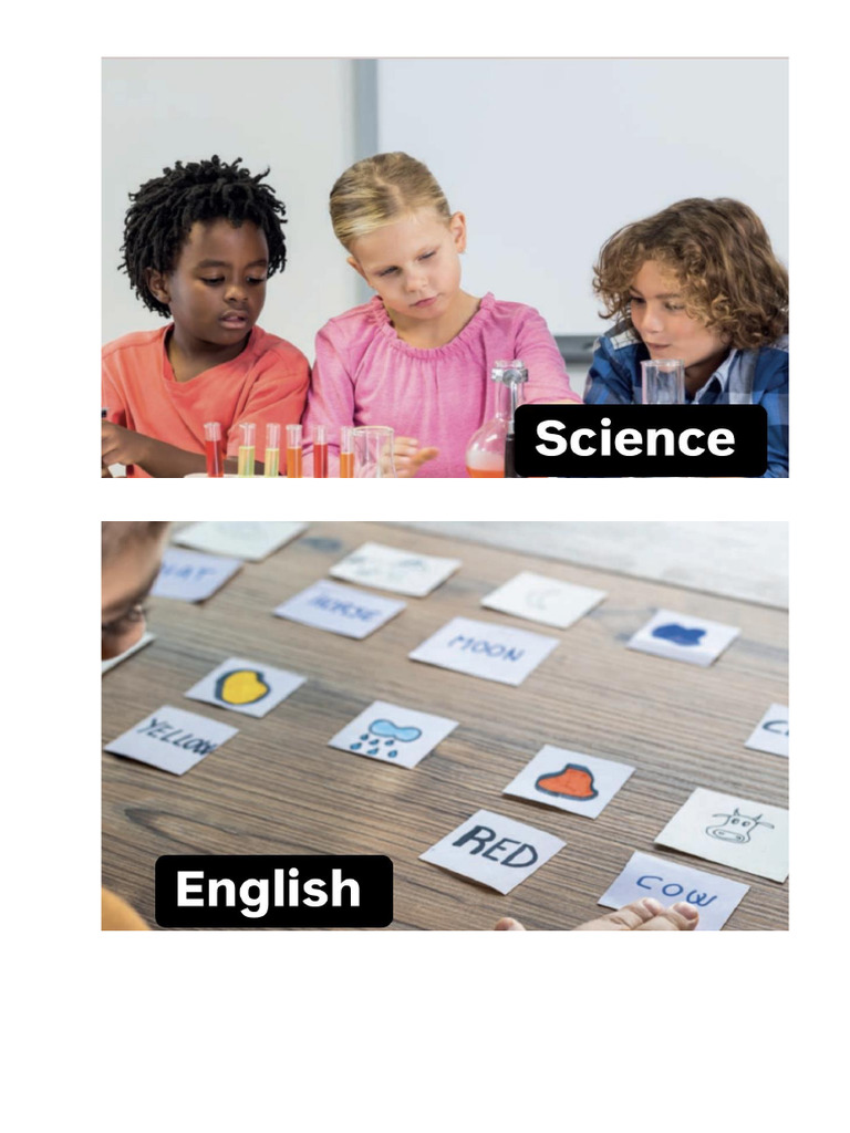 Flash Cards School Subjects | PDF