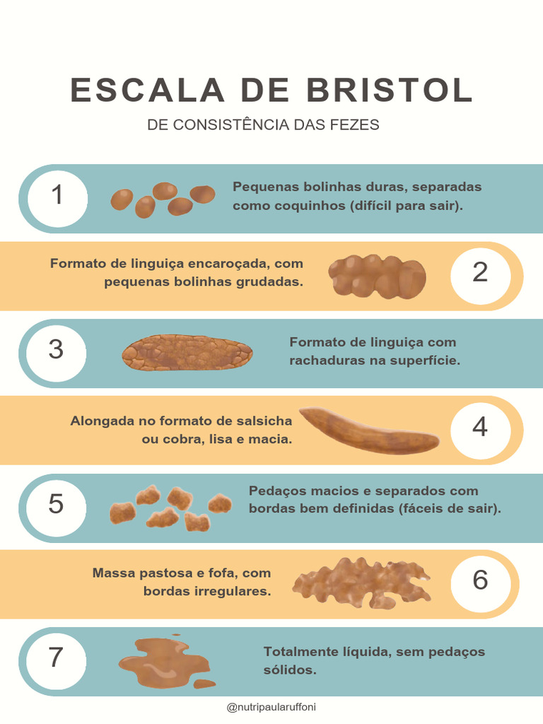 Escala de Bristol | PDF