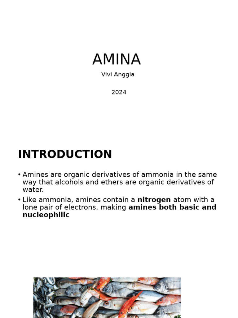 Amina_mod | PDF | Amine | Acid