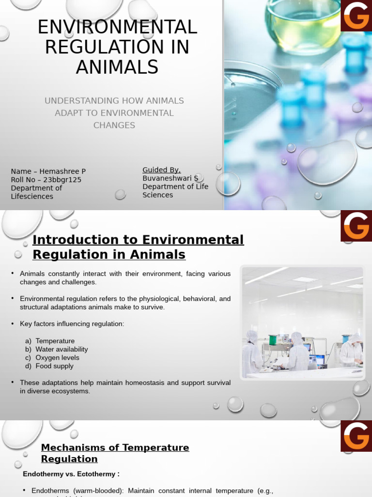 Environmental Regulation in Animals | PDF | Thermoregulation | Blood