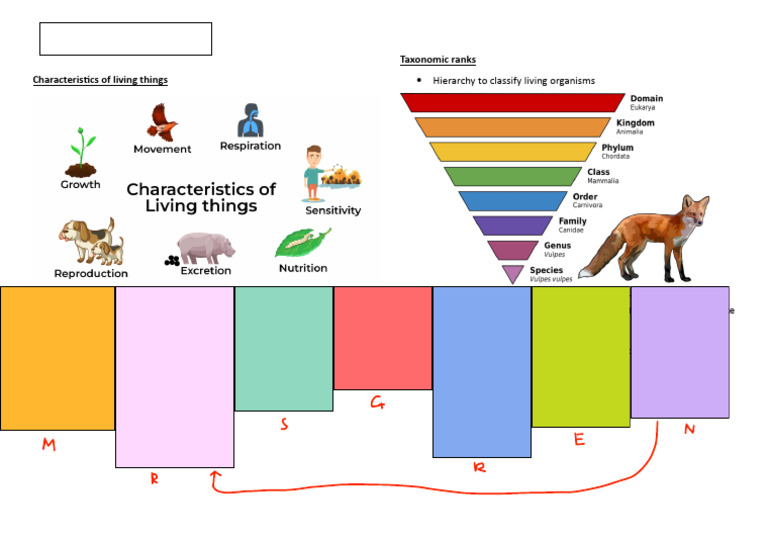 Characteristics of Living Things | PDF | Reproduction | Nutrition