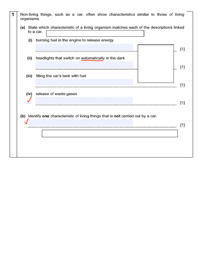 Unit 4 - Questions | PDF